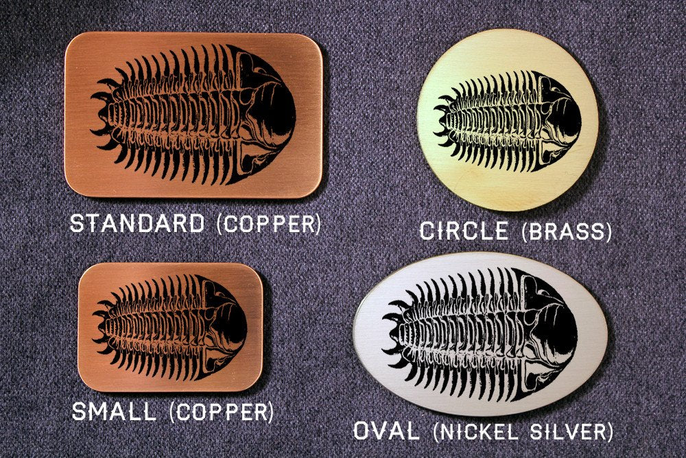 Trilobite Fossil Belt Buckle – Metal Some Art